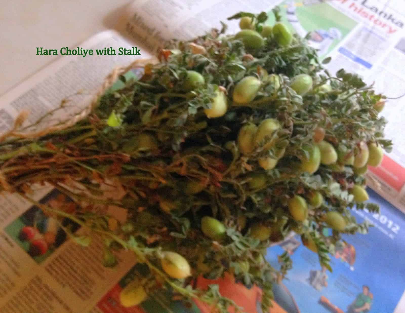 Aloo Choliya | Fresh Green Chickpeas Gravy | Sides for Roti